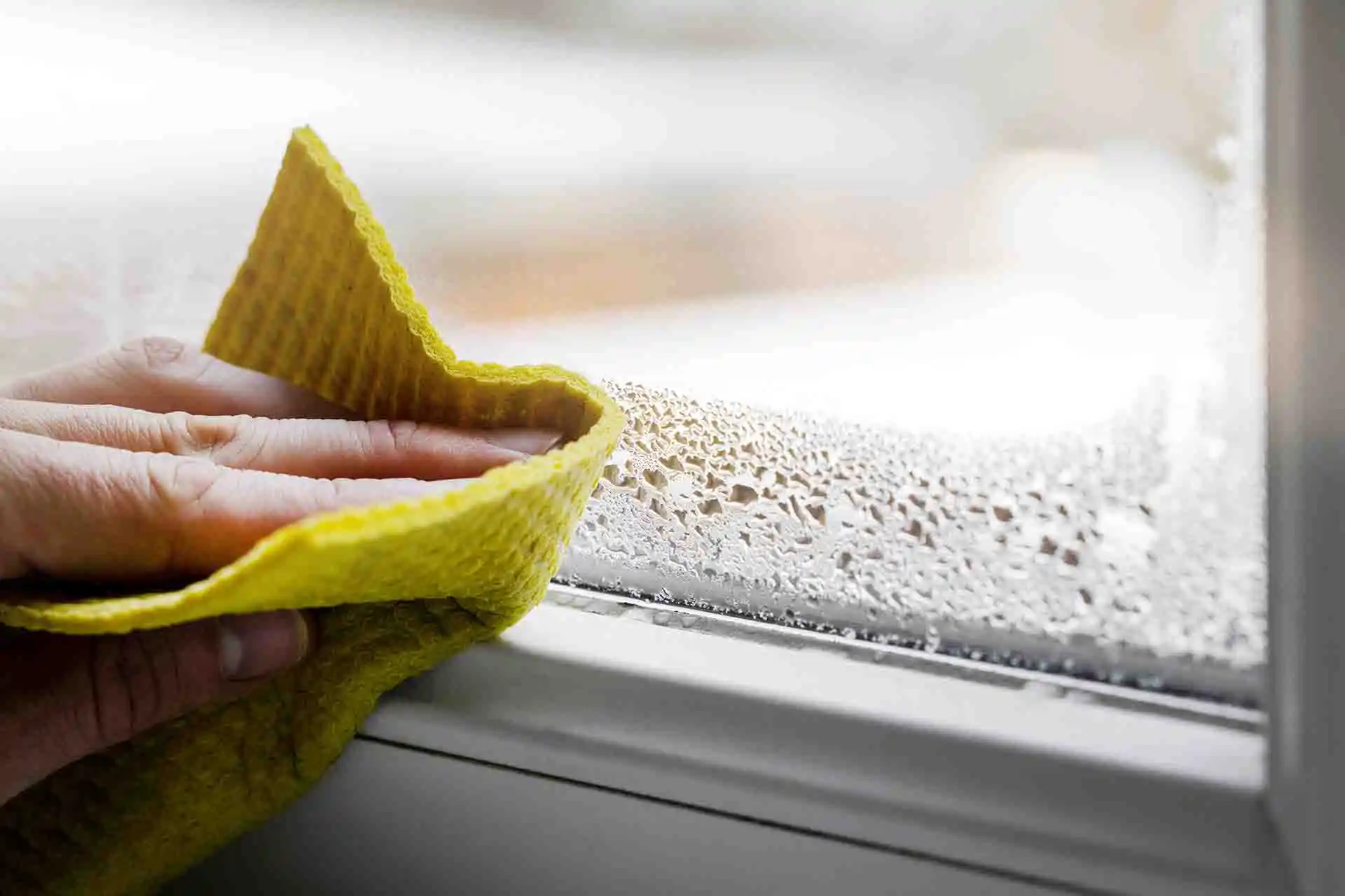 4 Common Types of Damp in UK Homes | Ideal Response